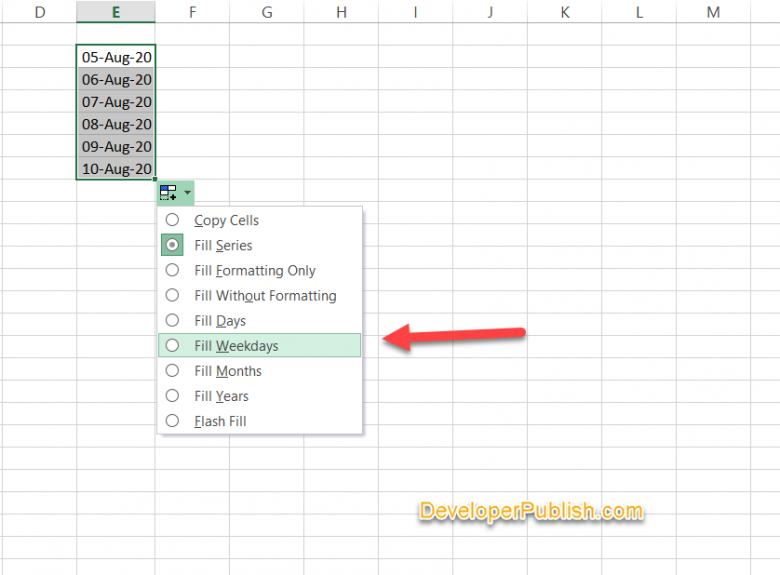 How to use AutoFill in Microsoft Excel ? - Developer Publish