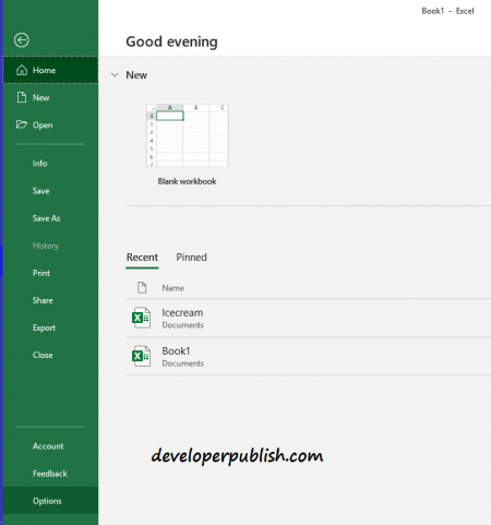 How to Add the Developer tab in Excel? | Excel Tutorials