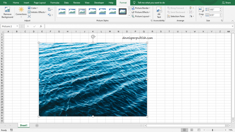 How to Insert Picture into Cell in Excel? | Excel Tutorials