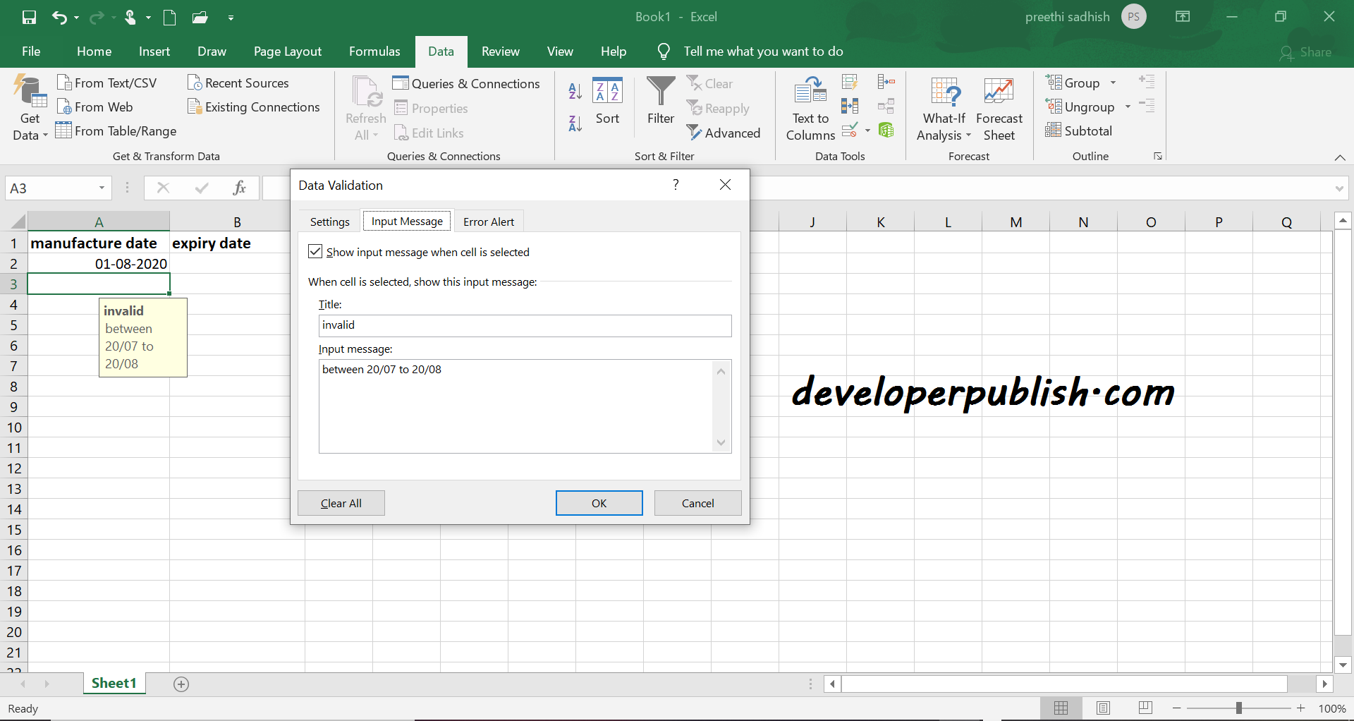 Date Validation in Microsoft Excel - Developer Publish