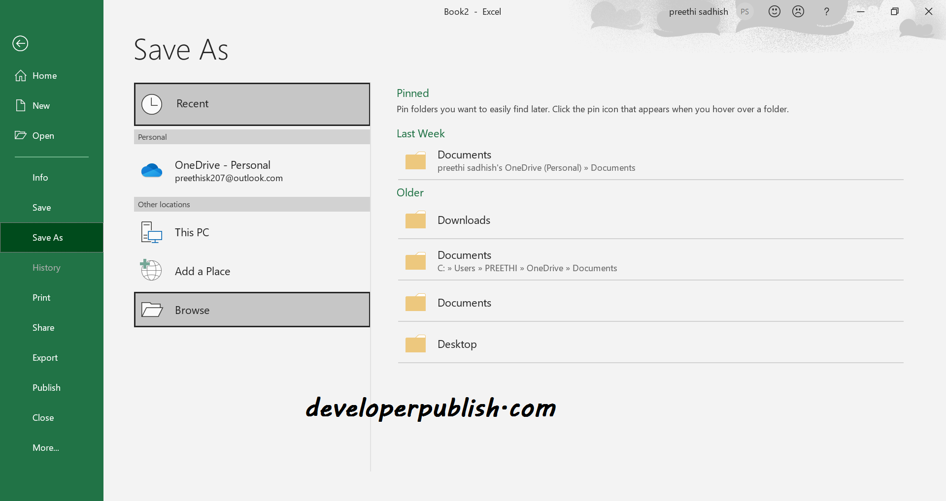 Mark Workbook as Read-only in Microsoft Excel - Developer Publish