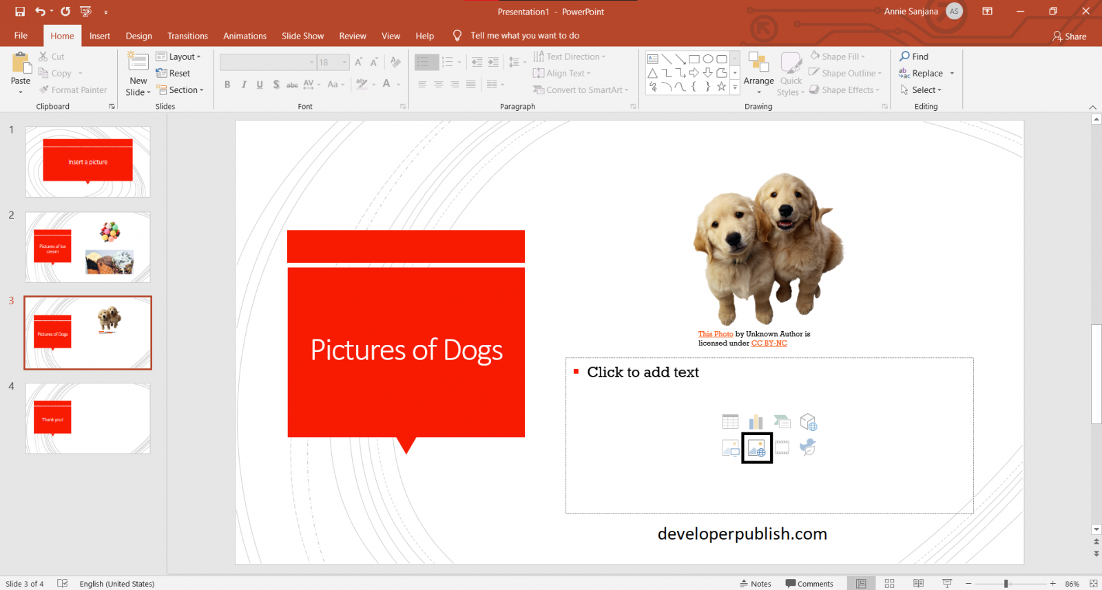 Insert picture in PowerPoint | Microsoft PowerPoint Tutorials