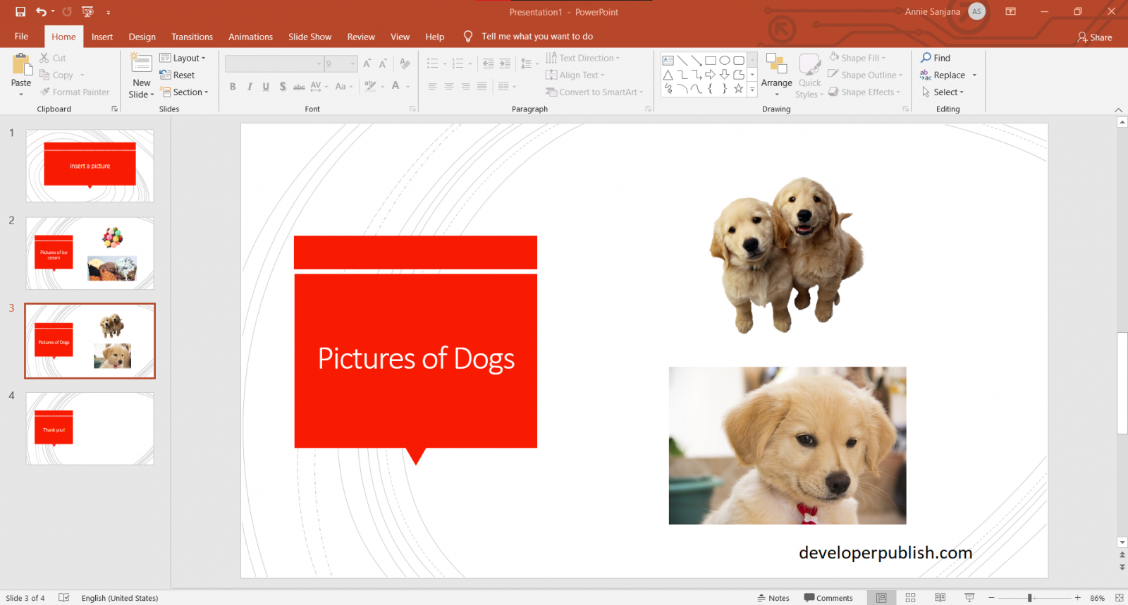 Insert picture in PowerPoint | Microsoft PowerPoint Tutorials