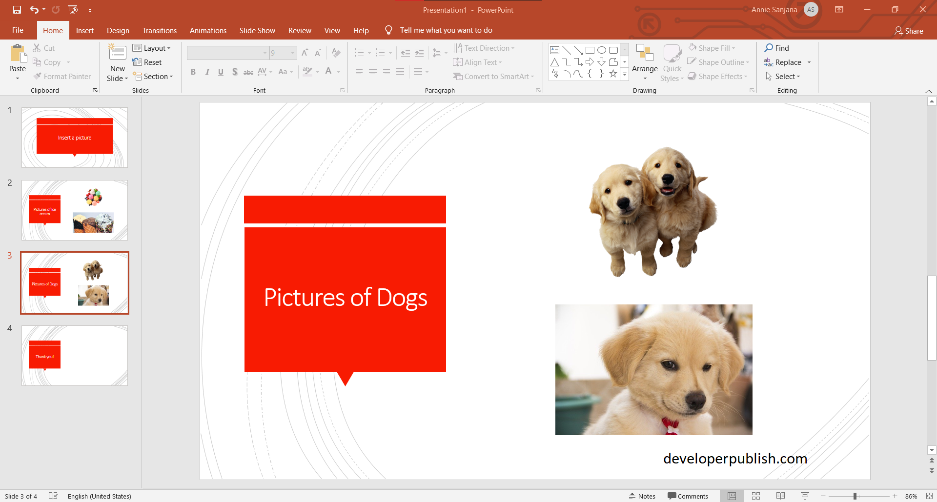 Insert picture in PowerPoint | Microsoft PowerPoint Tutorials