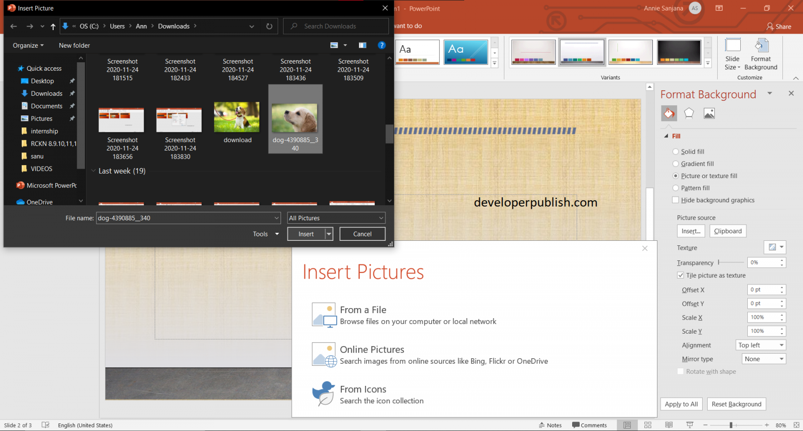 Put background Picture on Slides in PowerPoint | PowerPoint Tutorials