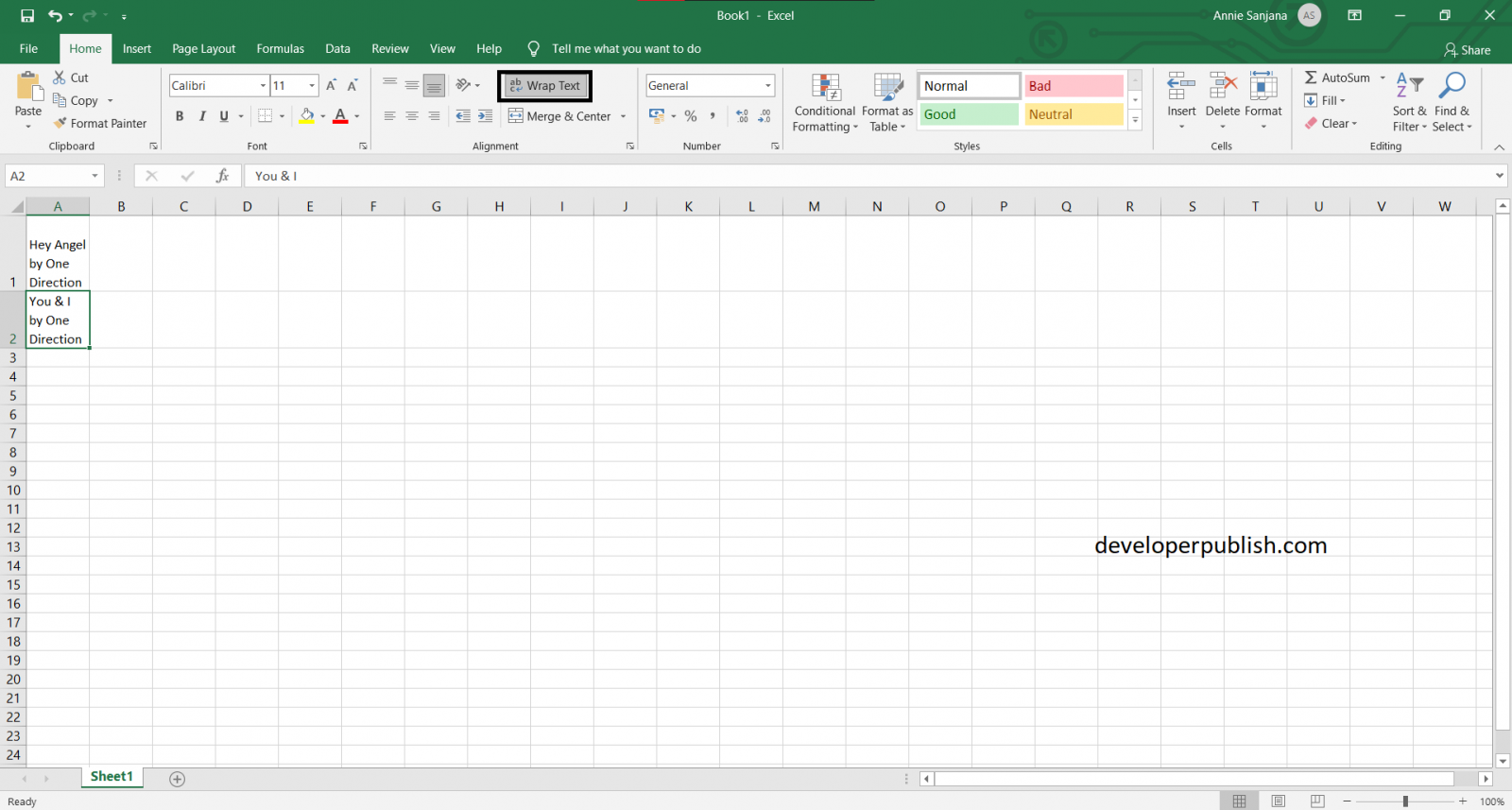 How to Enter multiple lines in a single cell in Excel?