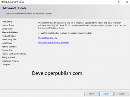 Download & Installing SQL SERVER 2019 Developer Edition for free