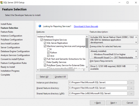 Download & Installing SQL SERVER 2019 Developer Edition for free