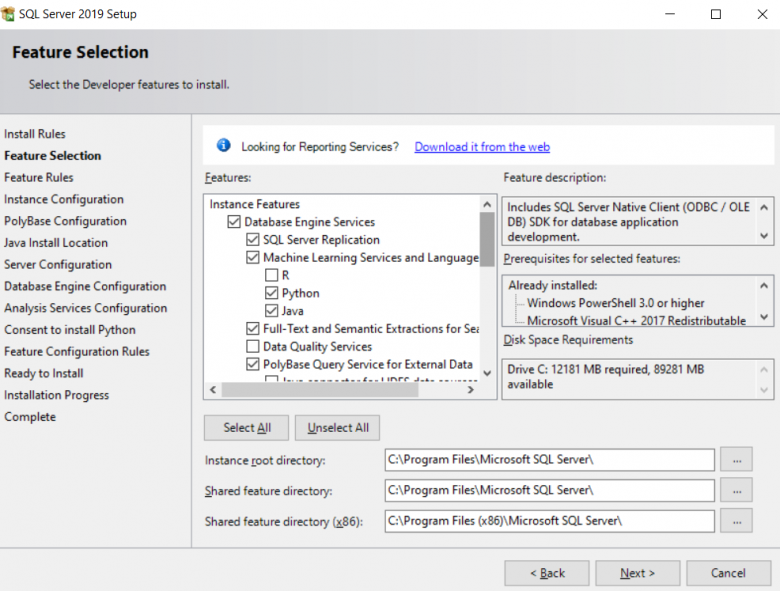 Download & Installing SQL SERVER 2019 Developer Edition for free