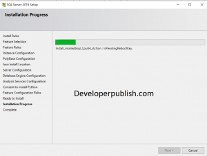 Download & Installing SQL SERVER 2019 Developer Edition for free