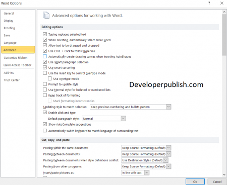 Drawing Canvas in Word - DeveloperPublish Tutorials