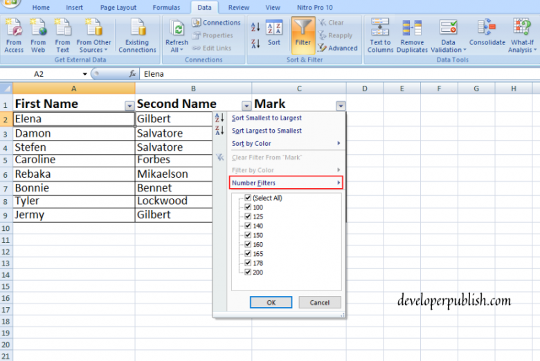 How to use Filters In Microsoft Excel? - Developer Publish