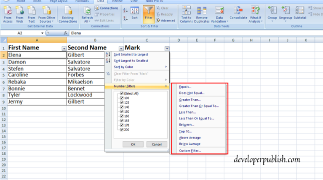 How to use Filters In Microsoft Excel? - Developer Publish