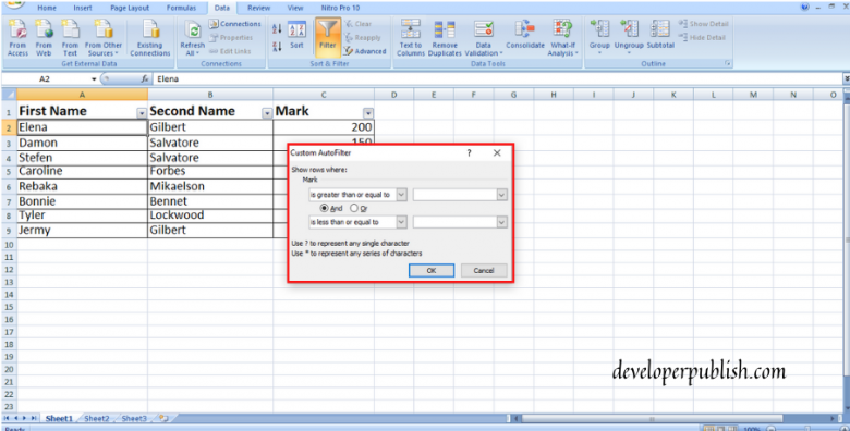 How to use Filters In Microsoft Excel? - Developer Publish