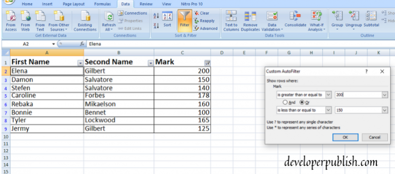 How to use Filters In Microsoft Excel? - Developer Publish
