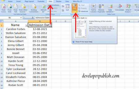 How to use Date Filters in Excel? - Developer Publish