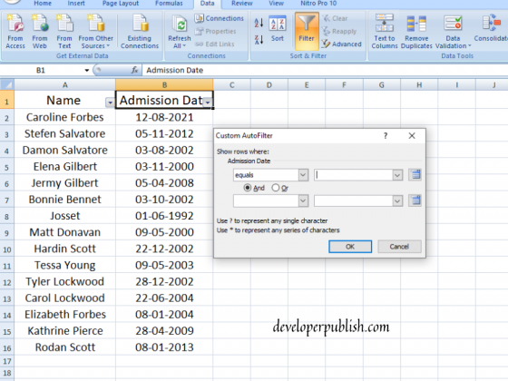How to use Date Filters in Excel? - Developer Publish