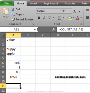 How to use COUNTA Function in Excel? - Developer Publish