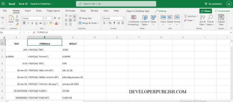 TEXT Function in Excel - Developer Publish