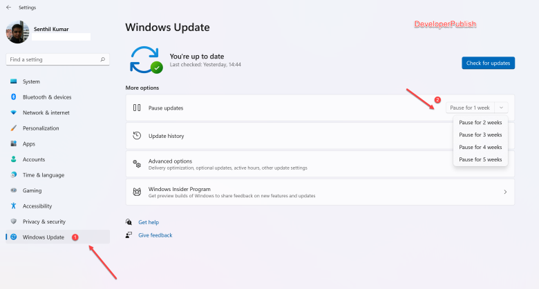 How to Pause Updates in Windows 11?