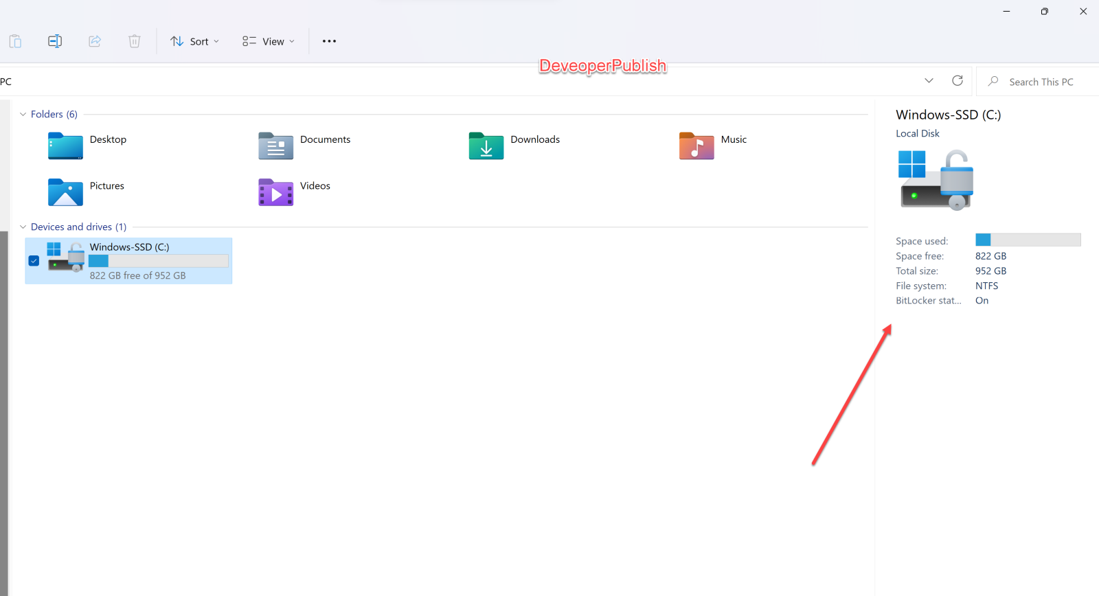 How to show of hide Details Pane in Windows 11 File Explorer?