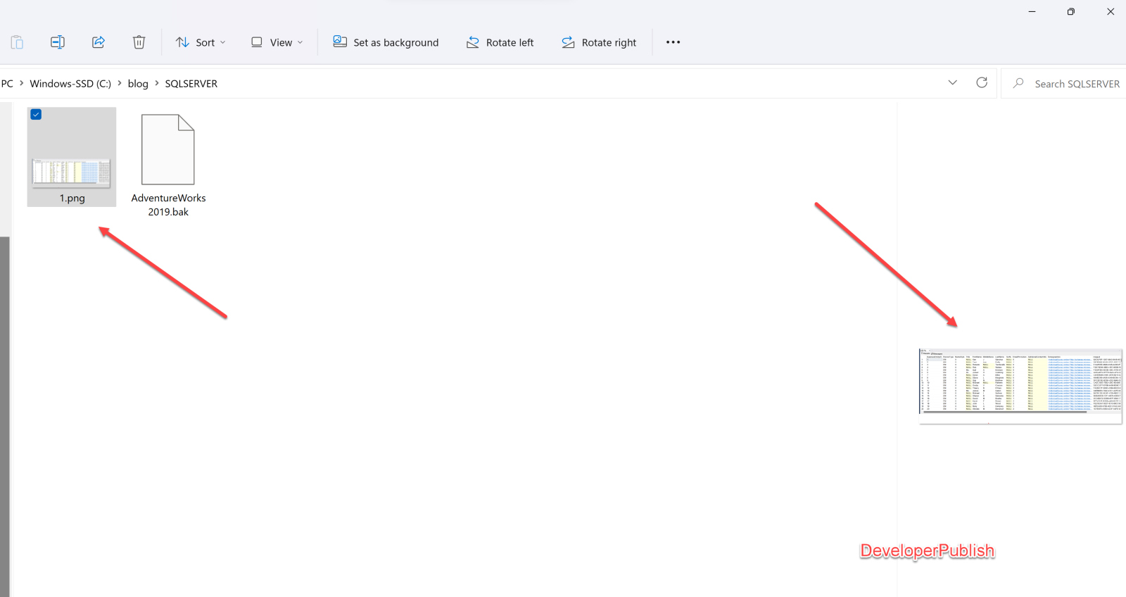How to Show or Hide Preview Pane in Windows 11 File Explorer?
