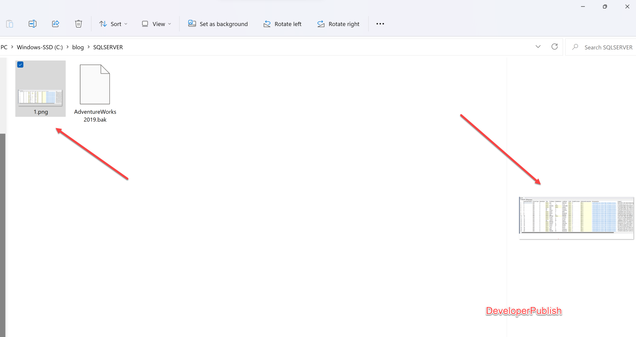 How to Show or Hide Preview Pane in Windows 11 File Explorer?