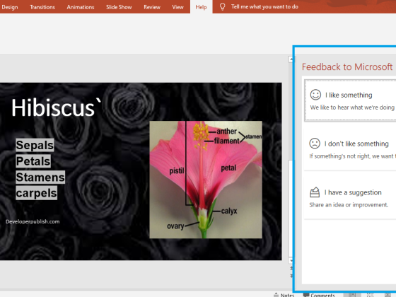 How to Change the page orientation in PowerPoint