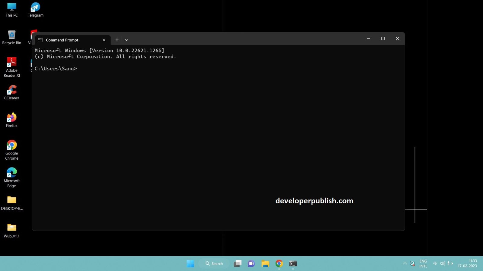 How to Flush & Reset the DNS Cache in Windows 11?