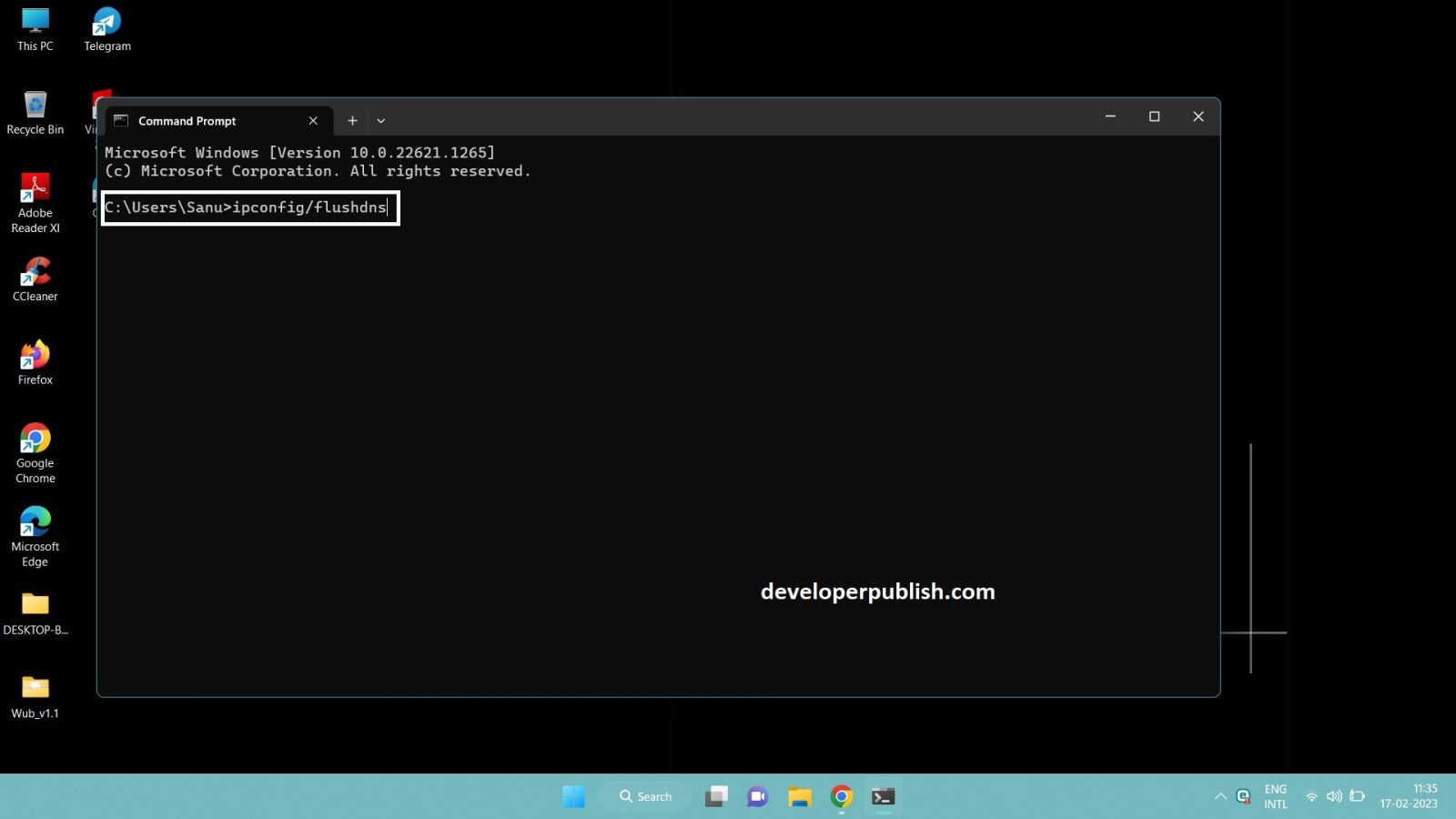 How to Flush & Reset the DNS Cache in Windows 11?