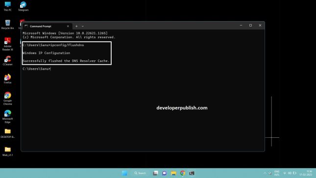 How to Flush & Reset the DNS Cache in Windows 11?