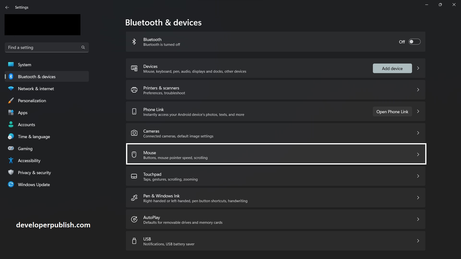 How to Change Mouse Pointer Style, Color, and Size in Windows 11?