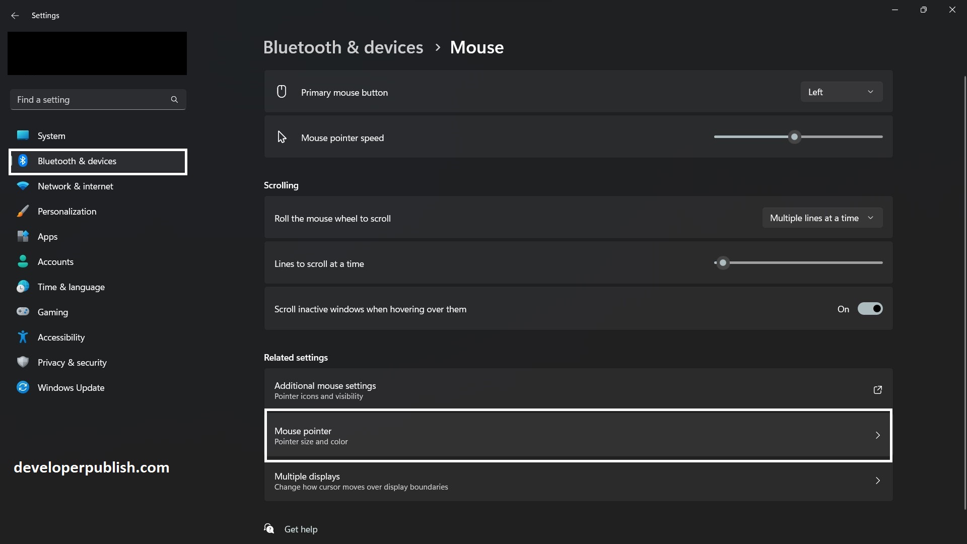 How to Change Mouse Pointer Style, Color, and Size in Windows 11?