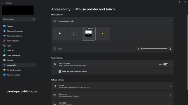 How to Change Mouse Pointer Style, Color, and Size in Windows 11?