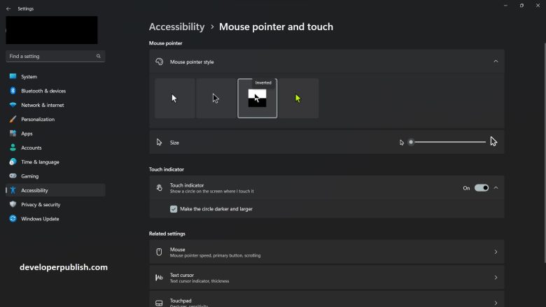 How to Change Mouse Pointer Style, Color, and Size in Windows 11?
